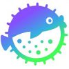 Puffer Finance: Ratings & Details | CryptoTotem